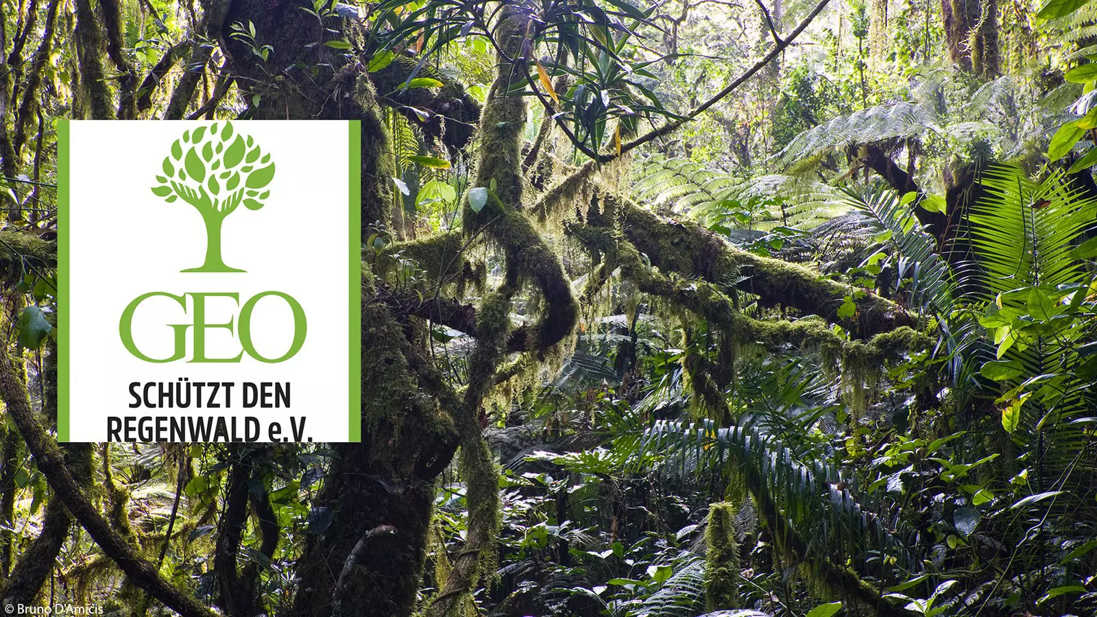 Nobel Prize Money Donated To ‘Geo Protects The Rainforest’